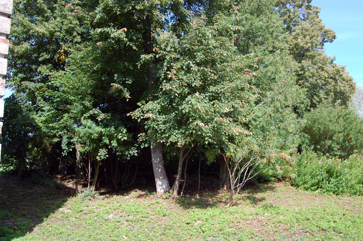 Rootsi pooljaam: Iluaiad Rootsi raudteejaamas