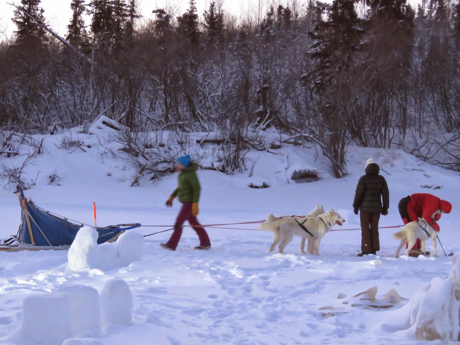 Midnight Sun, Polar Nights - Inuvik, NWT, Canada: 2 - Inuvik Sunrise ...