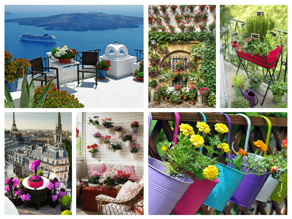 Balcony flowers ideas, how to choose the best - Diy Fun World