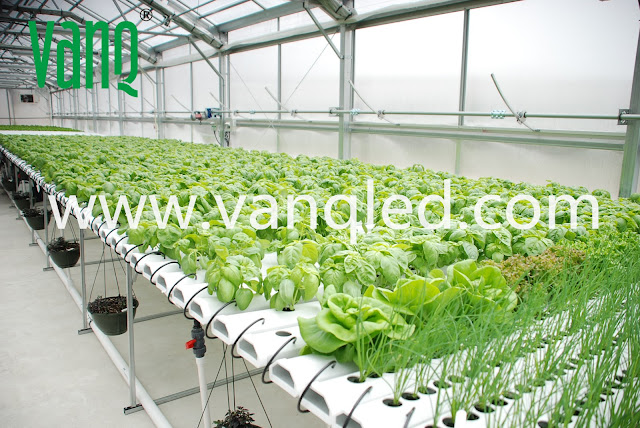 Introduction of Automatic Planting Production System For Hydroponic ...