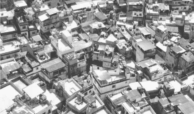 Fotos ~ Jacarezinho - RJ