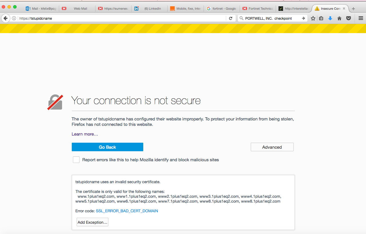 Ken Felix Security Blog: CN and Subject Alternative Names in SSL/TLS ...