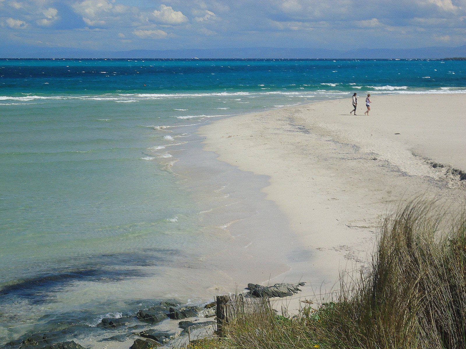 GUIA MON-RA-MON: SARDENYA