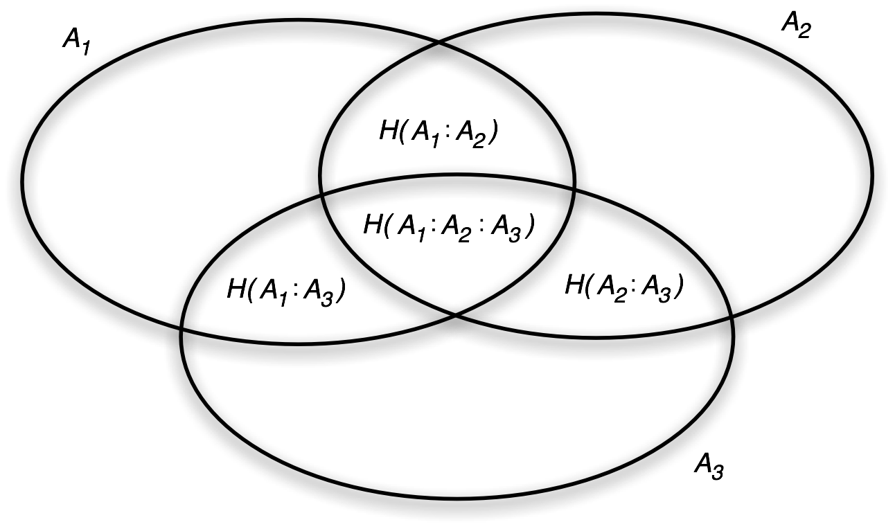 Spherical Harmonics: Whose entropy is it anyway? (Part 2: The so-called ...