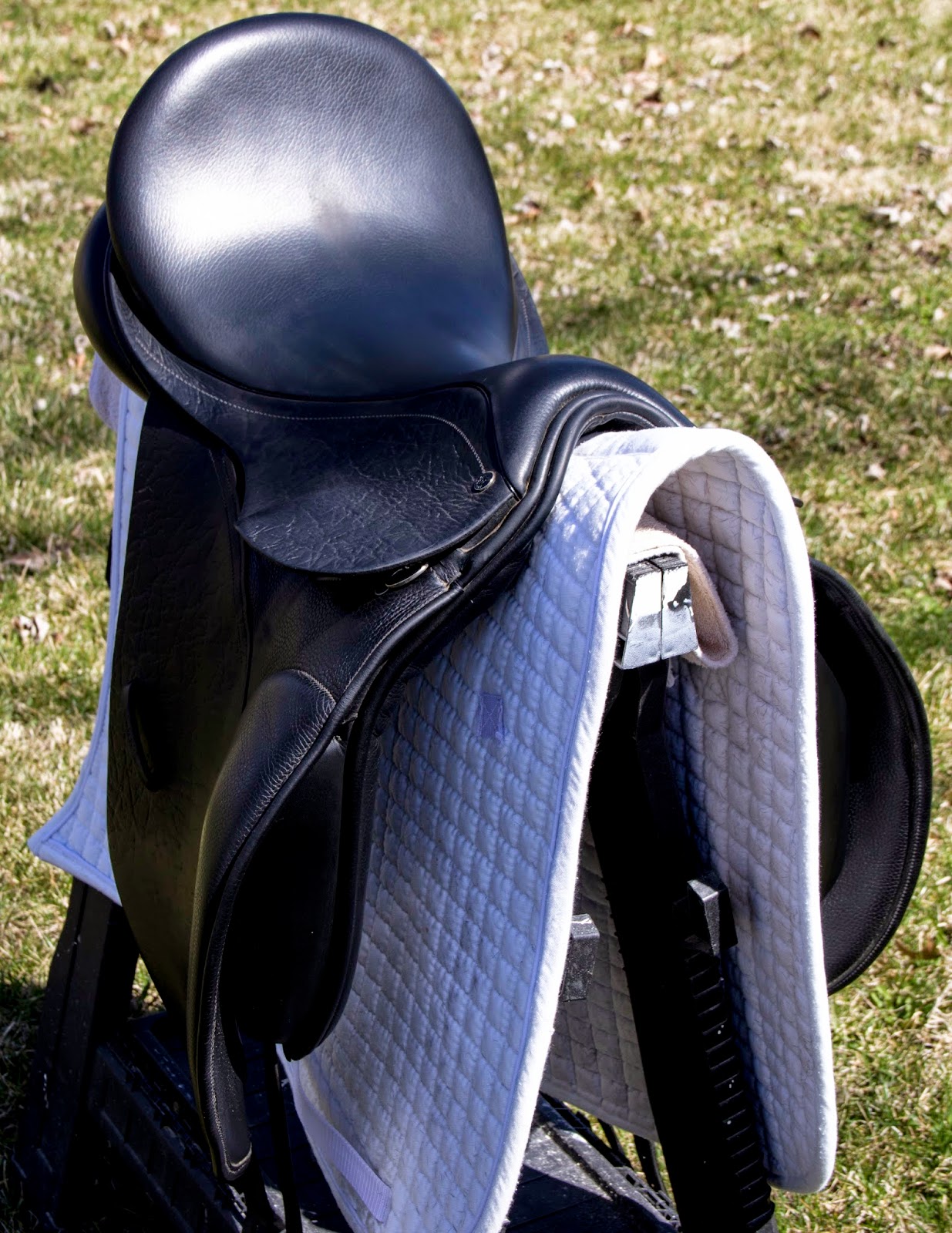 Princess Diva Diaries and A Thoroughbred: County Connection Dressage ...