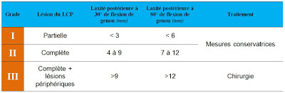Le blog du GERAR: Que connaissez-vous du ligament croisé postérieur