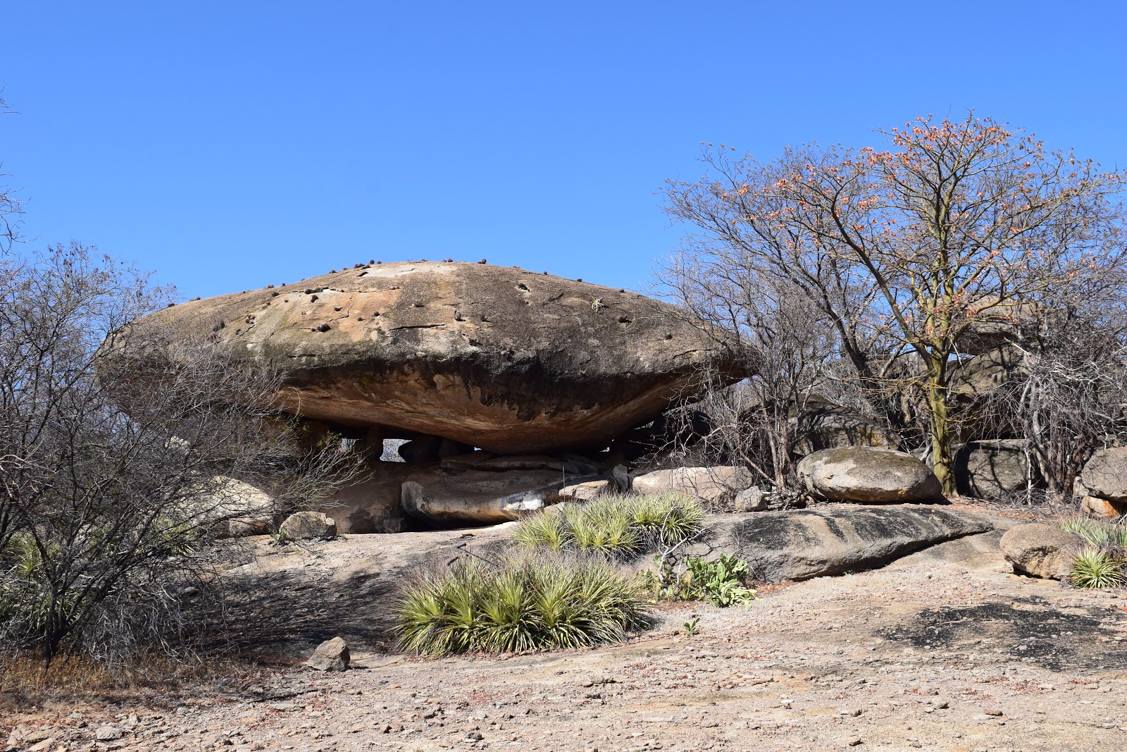 CENTENÁRIO DE GUANAMBI (1919-2019): DA VILA DE BEIJA-FLOR A CAPITAL DOS ...