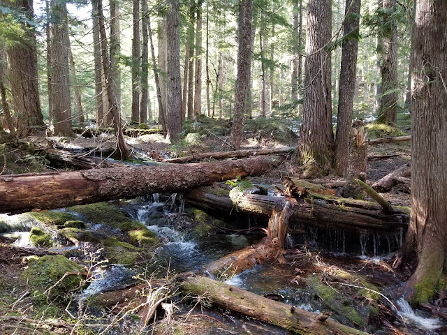 Take a Hike: Ruby Mountain, North Cascades National Park, WA