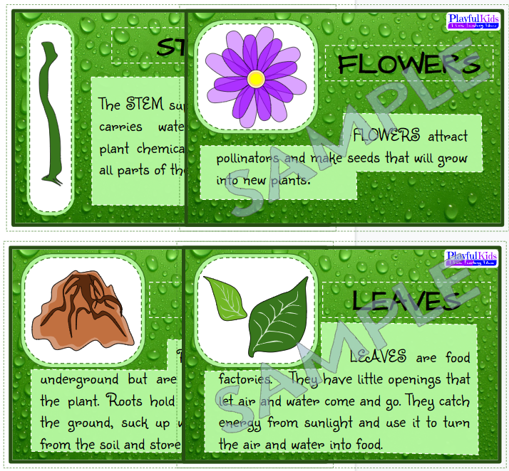 I LOVE TEACHING IDEAS