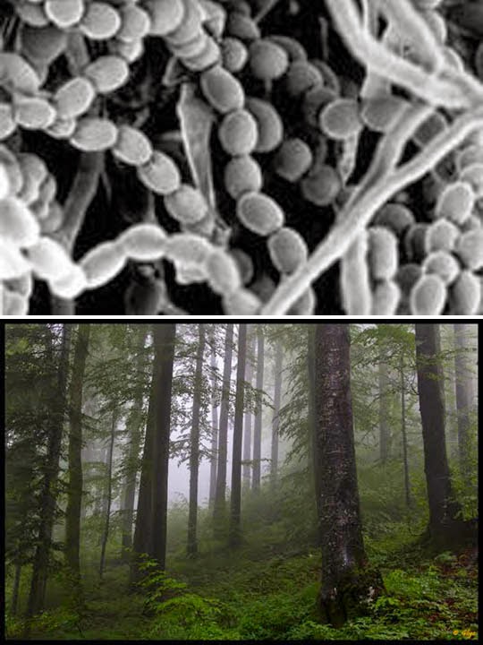 The 'Scope: Sweating Is The Pits