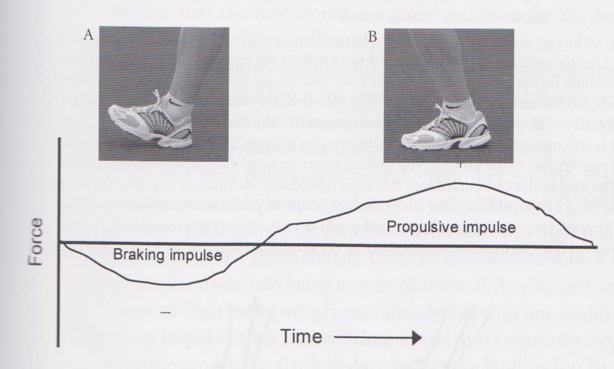 What are the biomechanical principles that underpin a fast running ...
