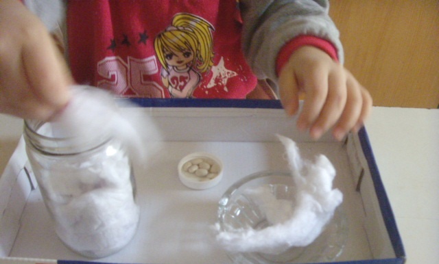 Our English Homeschool: Introduction to Botany - How do Plants Grow ...