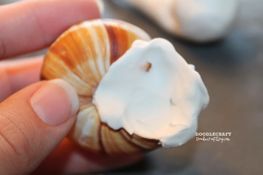 Colorful Garden Snails!