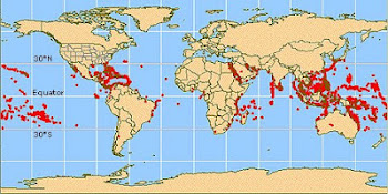 DIVERSIDAD DE LOS ECOSISTEMAS: Los arrecifes de coral