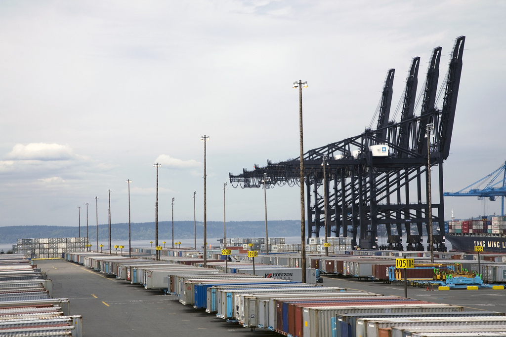 Terminal operations: Terminal Pictures