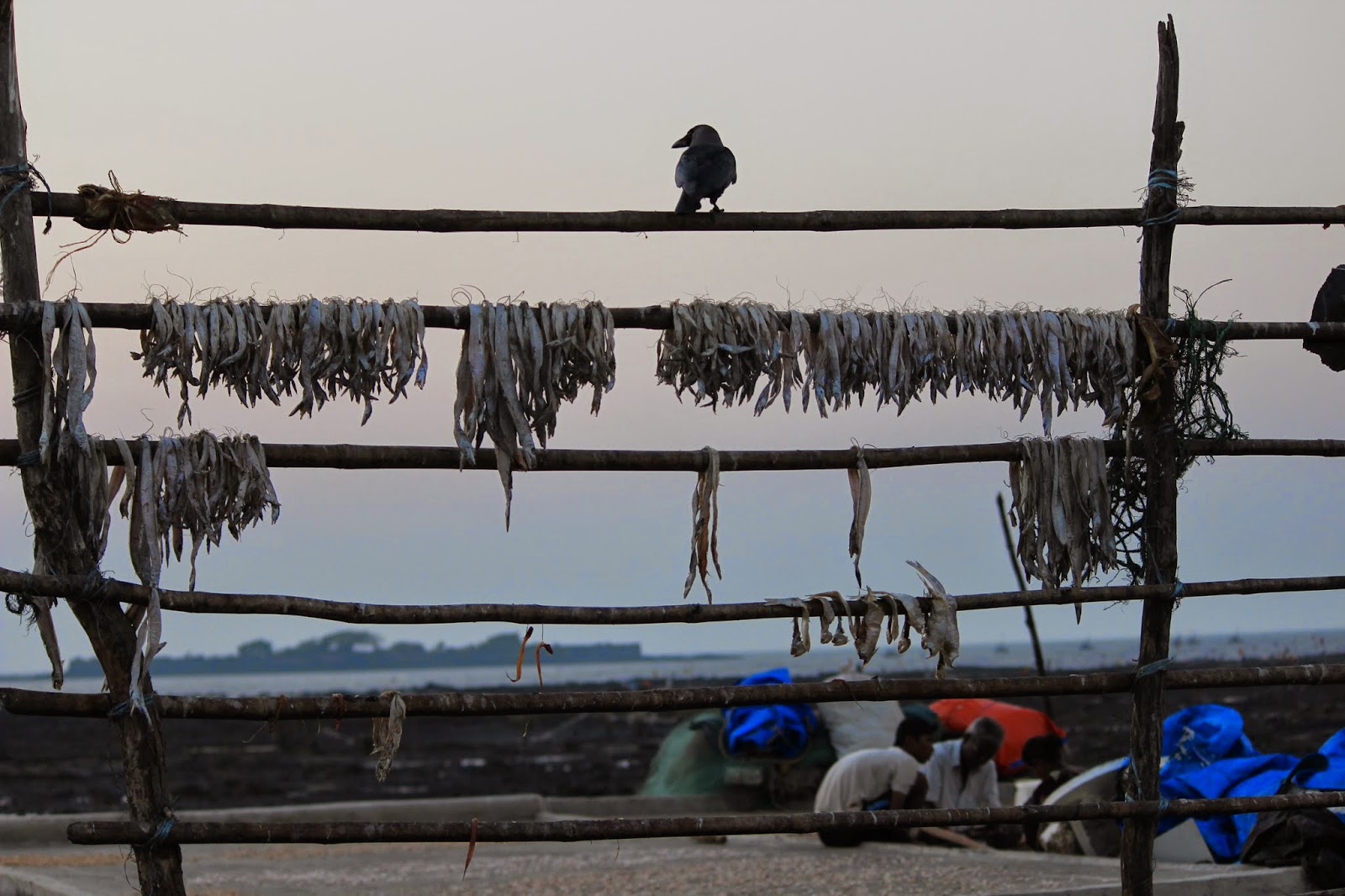 AnnaParabrahma: Storage and Handling of Dried Fish