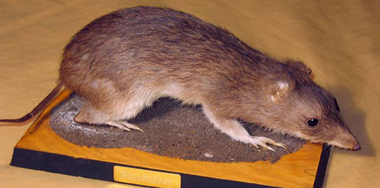 Mitoslavia: 07/20/16