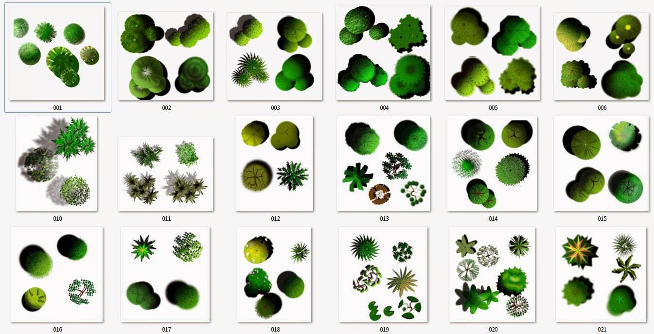 PSD cây mặt bằng dùng cho ghép Shop