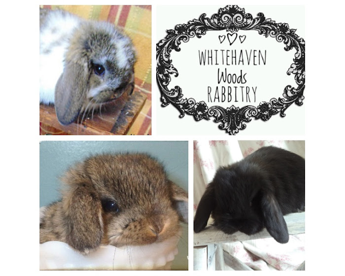 Whitehaven Woods Rabbitry : ARBA Standard of Perfection for Mini Lops