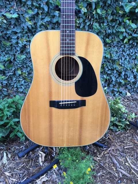 Rex and the Bass: Goya G-312 Acoustic Guitar Review