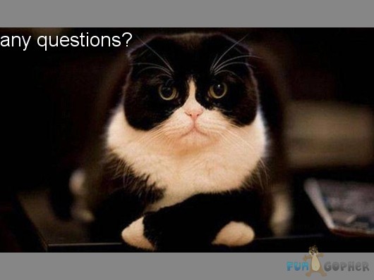 Animal Jam Freeze :3: Ask Indians!