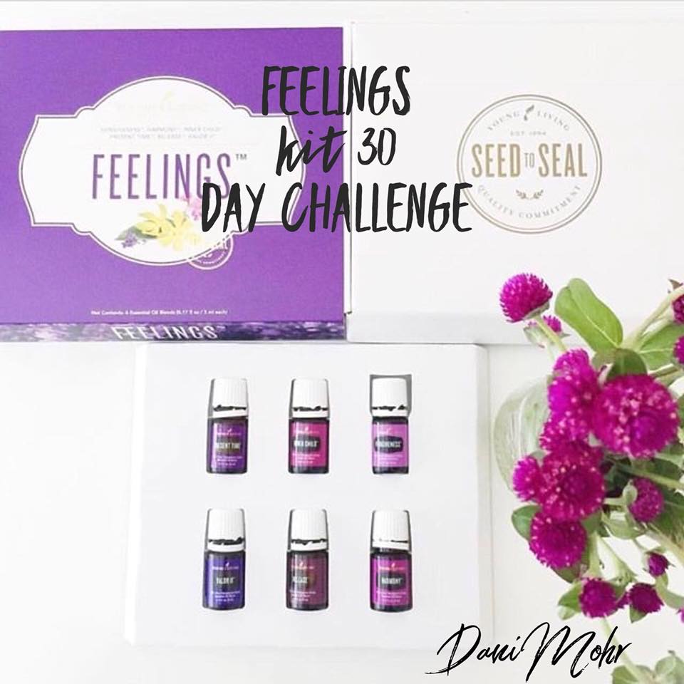 Emotional Support with the Fellings Kit