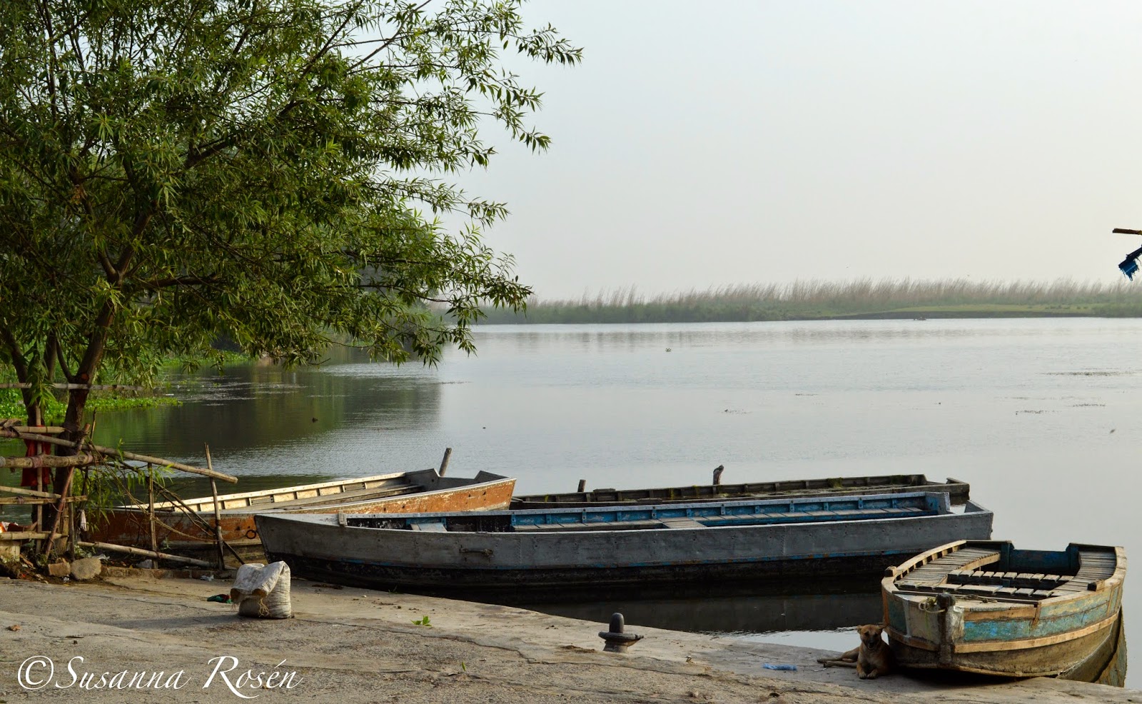 The House of Susanna / my life in India : morning life around Wazirabad ...