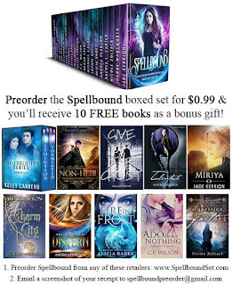 Q&A with S. McPherson, one of the authors of the Spellbound series ...