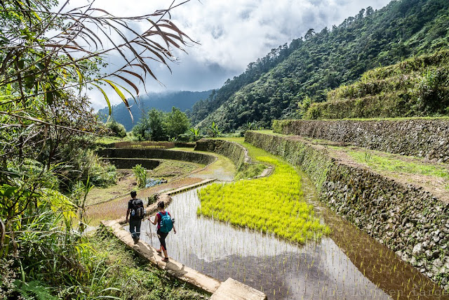 De loin en large: septembre 2018