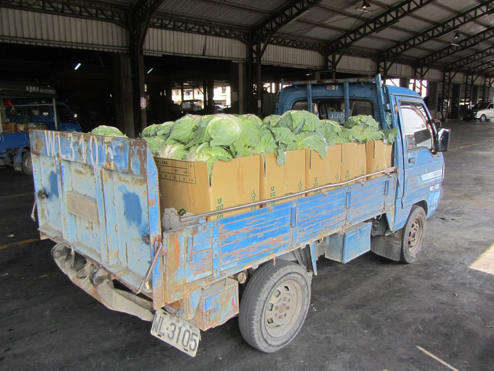 Estudiando Agricultura en Taiwán: Repollo — caja para traslado