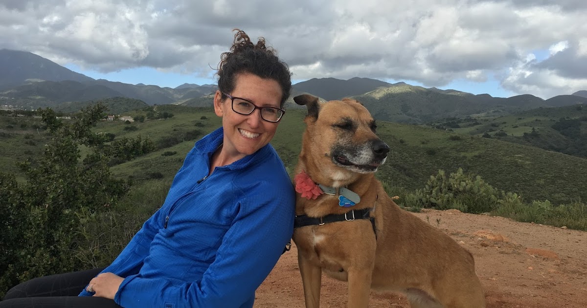 The Adventures of Hannah the Dog: What is the REAL story about Hannah?