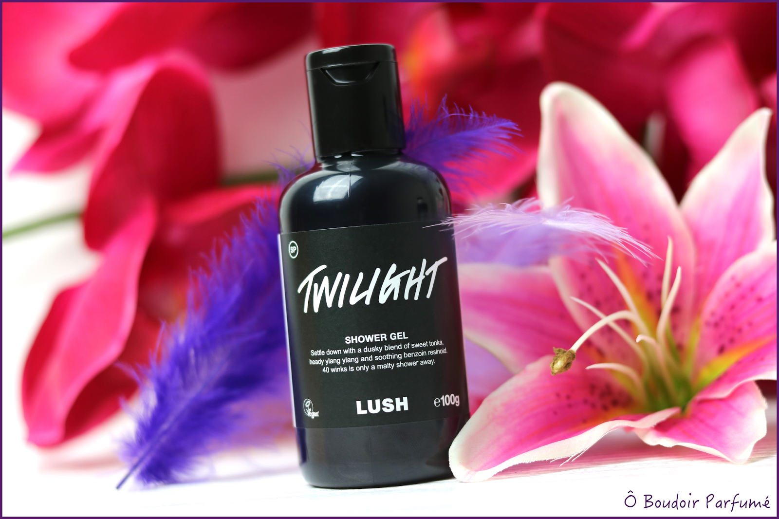 Il embaume ma salle de bain : le coffret "Under the misltetoe" de Lush ...