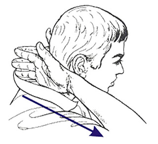 Lexo edhe ti: Fërkimi i pjesës së pasme të qafës