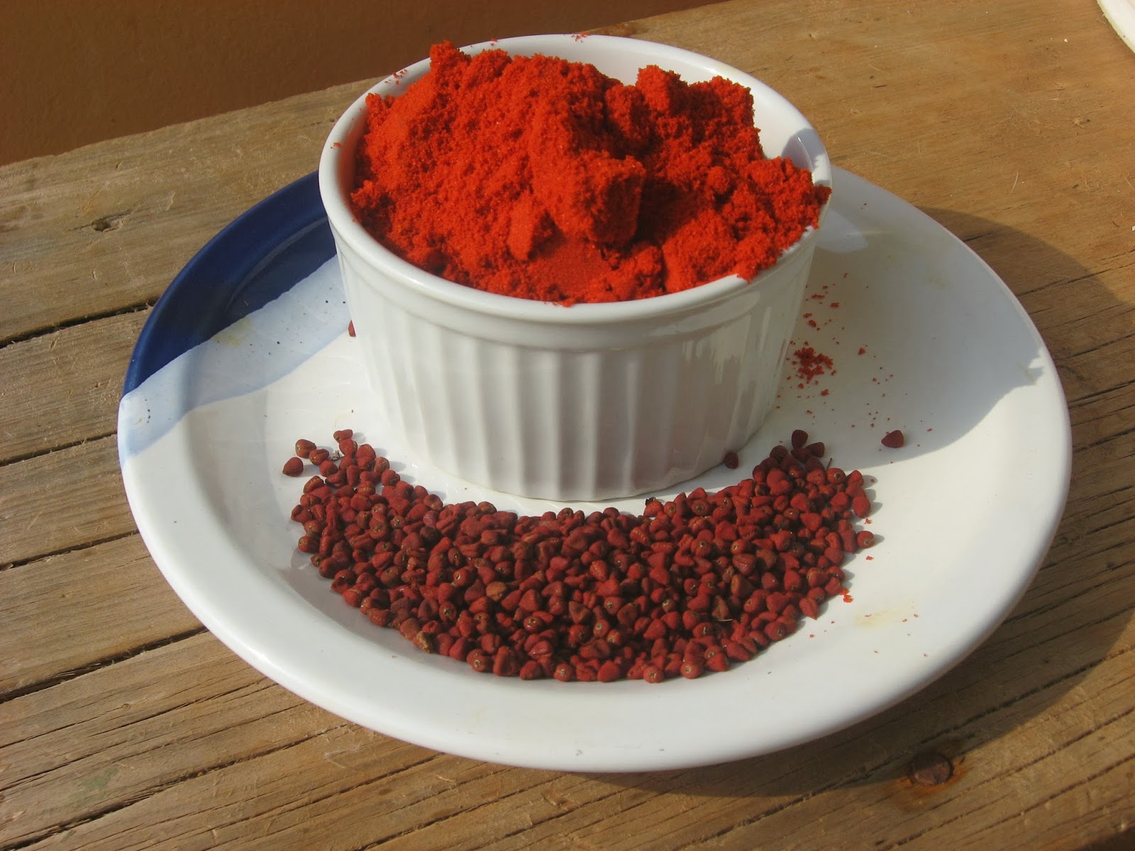 Back-to-the-Land in Brazil: Colorau - Food Coloring from Nature