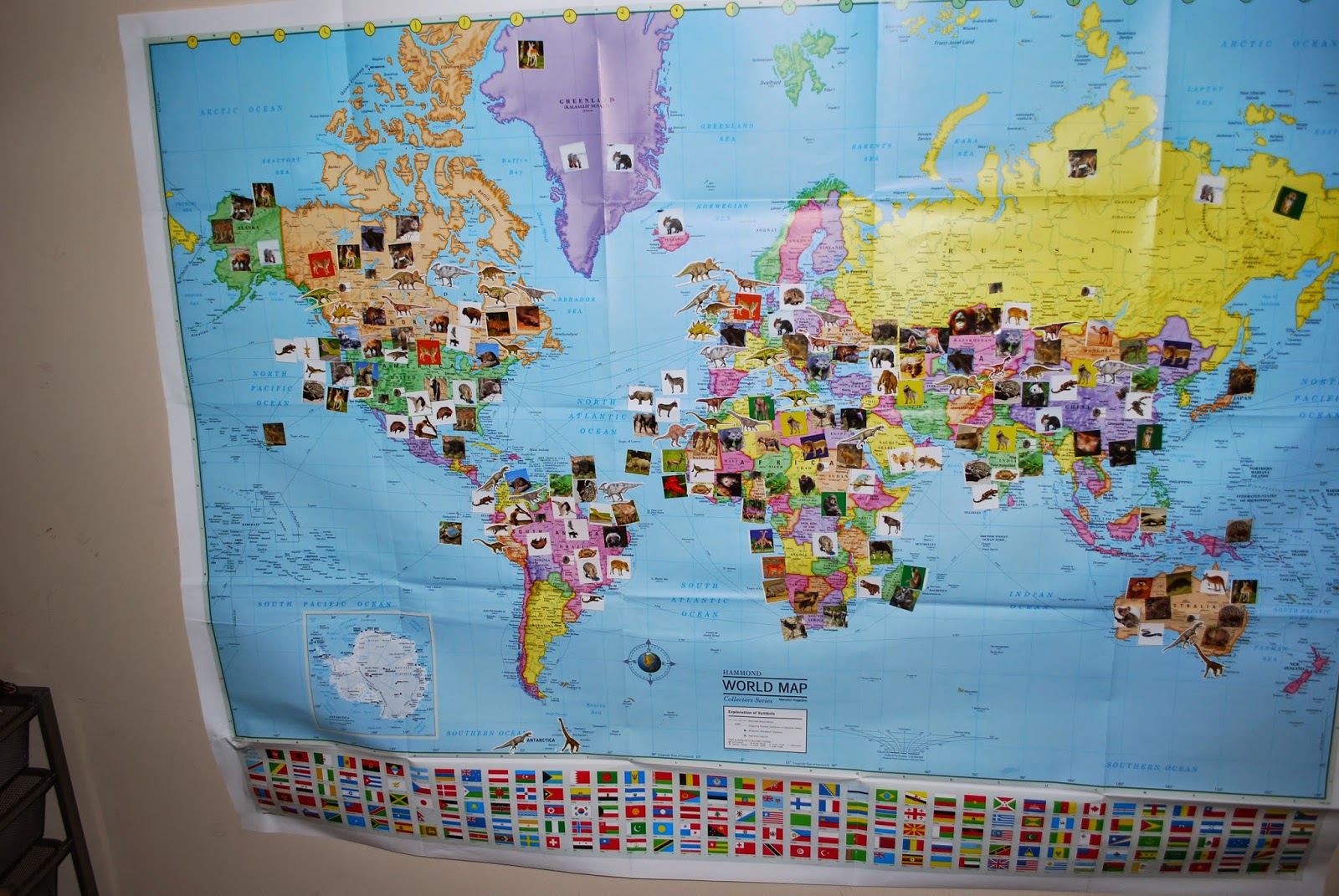 Homeschool Happenings: Do you know your states and capitals?