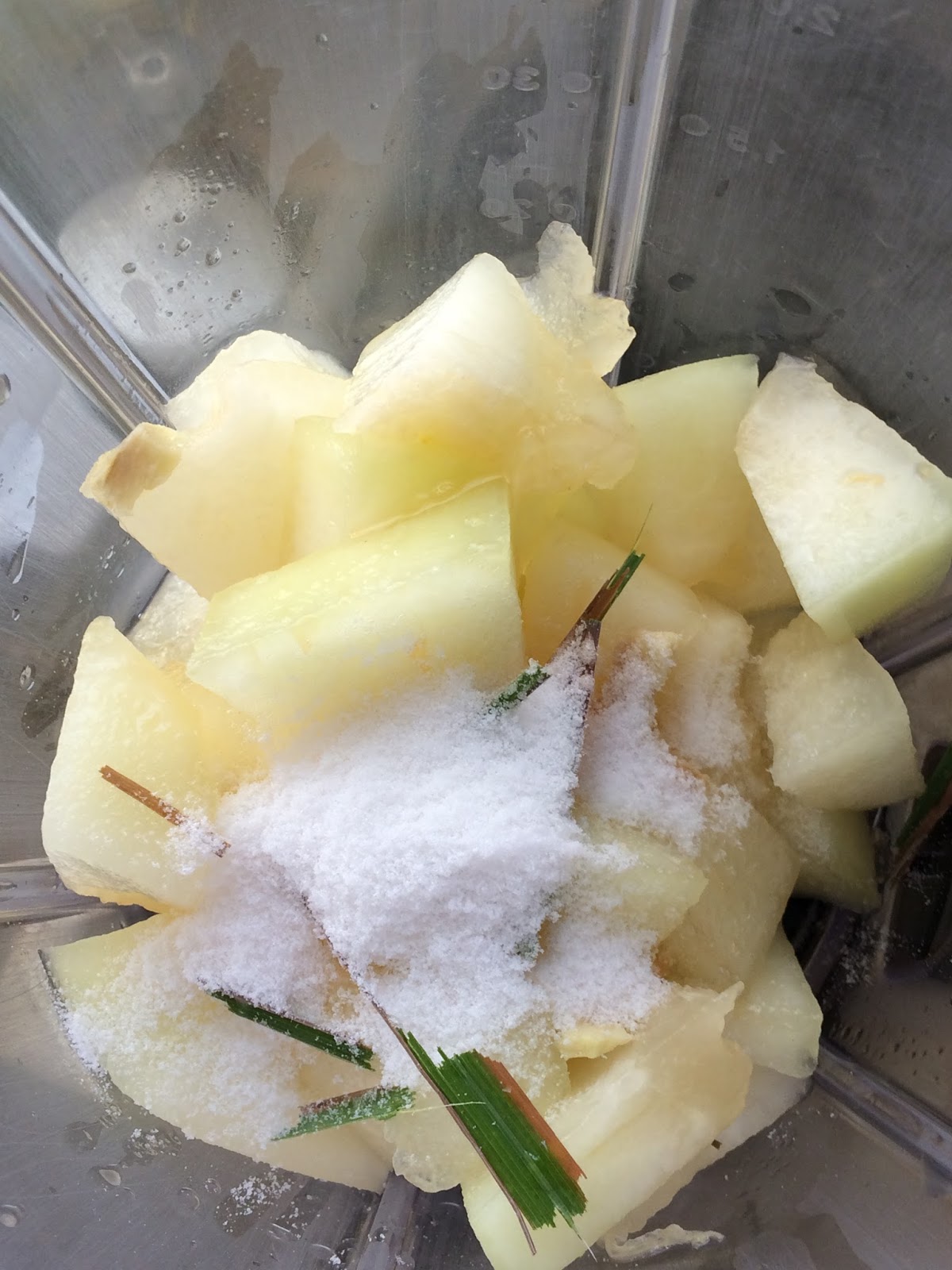 Receitinhas da Tere: Suco de Melão com Capim Santo e Gengibre