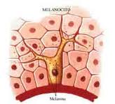 Farmacia M.Manso: mayo 2013