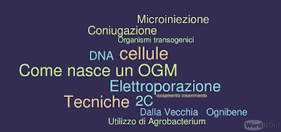noiVsOGM: COME NASCE UN OGM