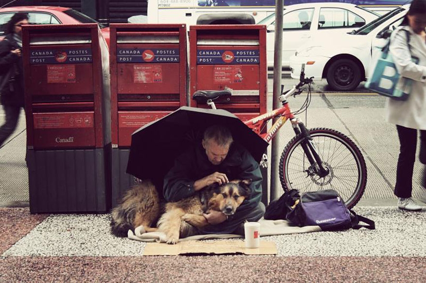 White Wolf : Dog's Love: Beautiful series of pictures showing homeless ...