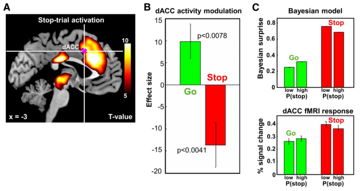 Andy's Brain Blog: Model-Based FMRI Analysis: Thoughts