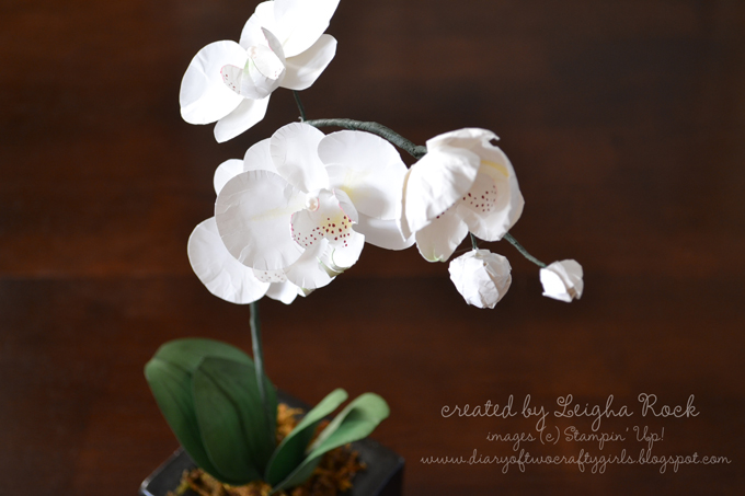 Diary of Two Crafty Girls: Paper Orchid Tutorial
