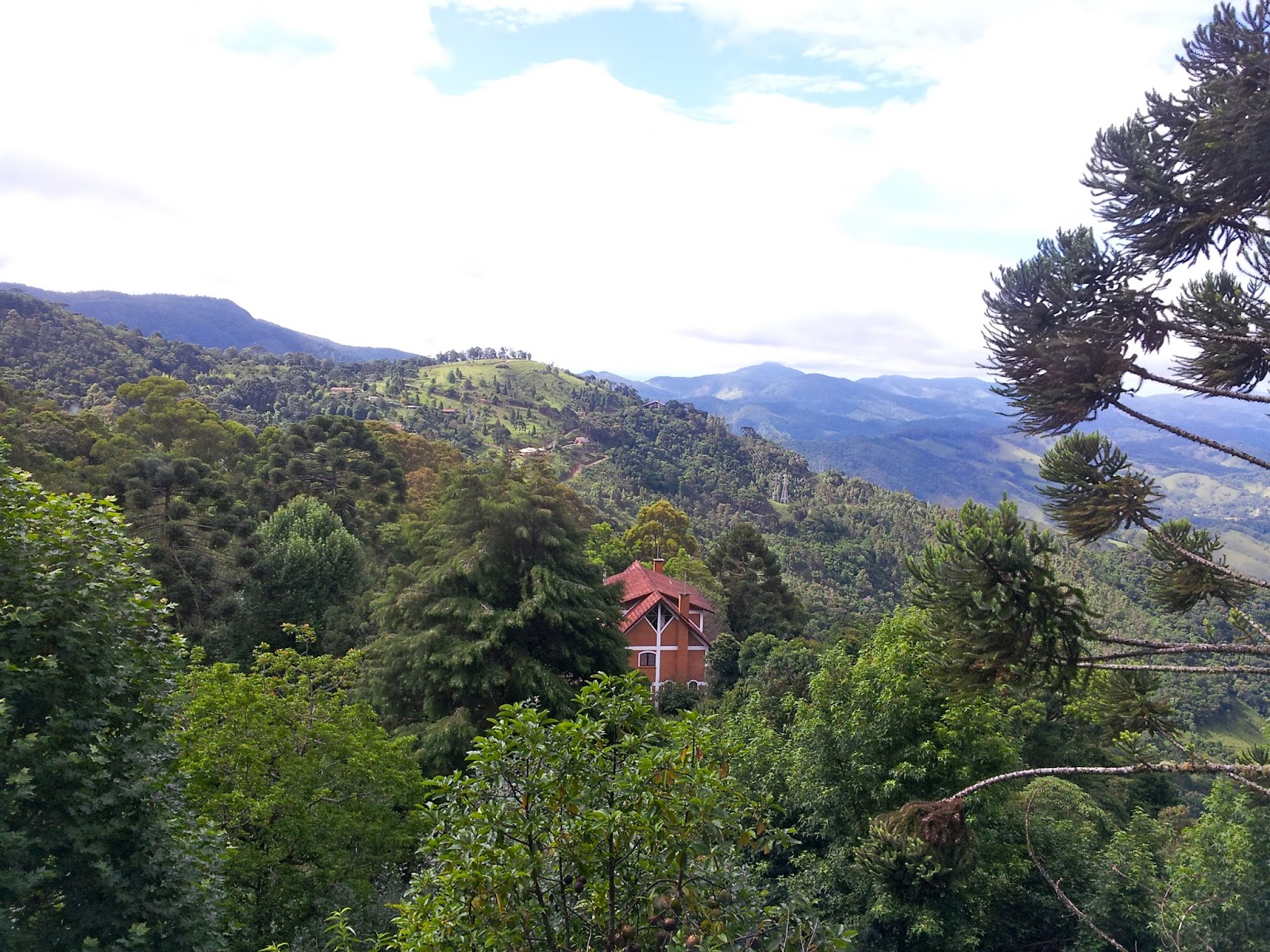 Alone with my tea: Brazilian Countryside