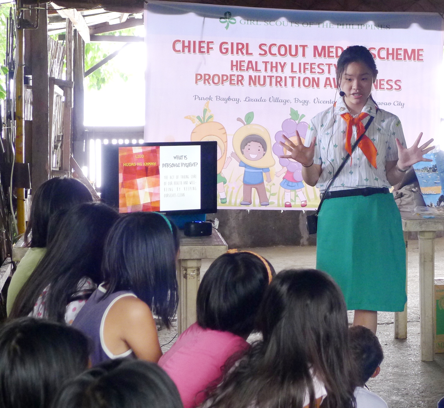Mom-About-Town: The Chief Girl Scout Medal Scheme: Learning by doing