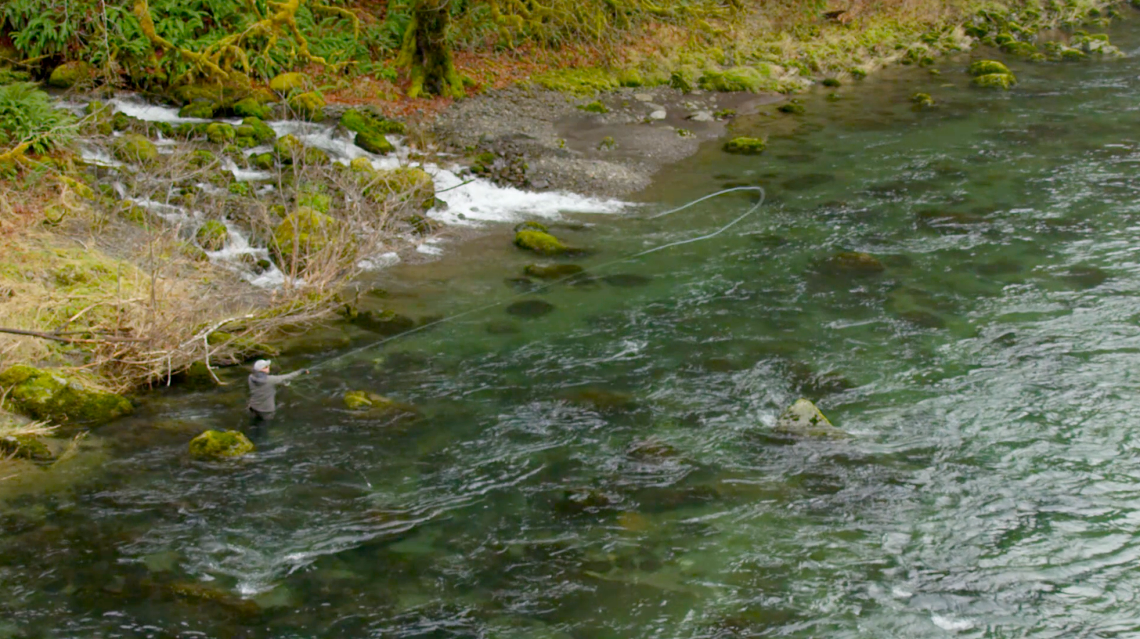 The Avid Angler, Fly Fishing Outfitters: Fly Rod Demo Day - with OPST ...