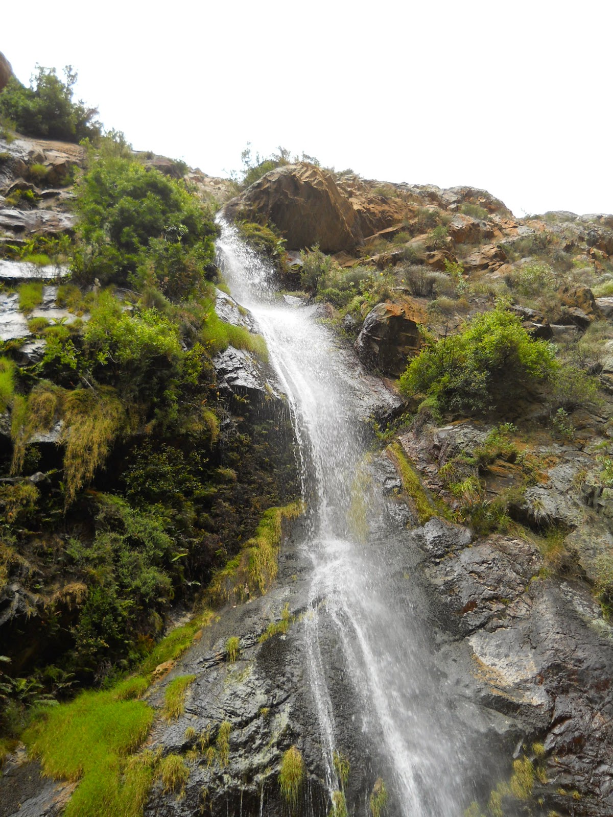VIRGIN WATER: Karoo Water Tour in search of the African Underground Rivers