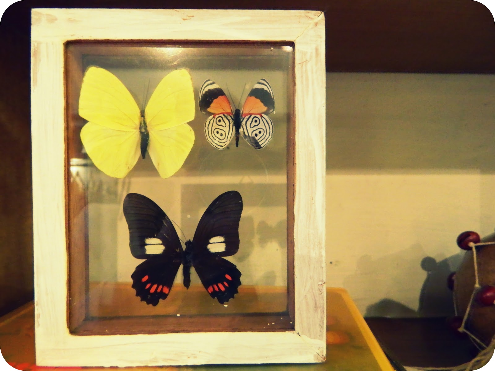 Desde el vestidor: De paseo por Palermo. Hoy: Orb.