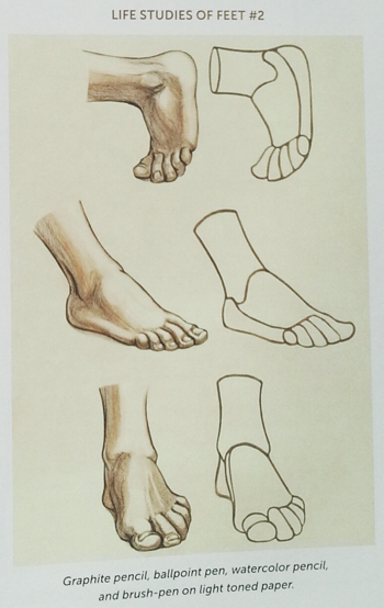 Different Time, Different Place Book Reviews: Classic Human Anatomy in ...