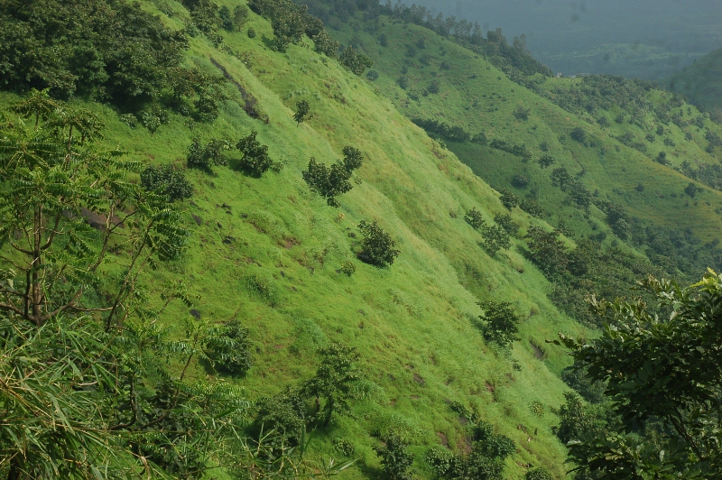 Travel-India: Koyna Wildlife Sanctuary
