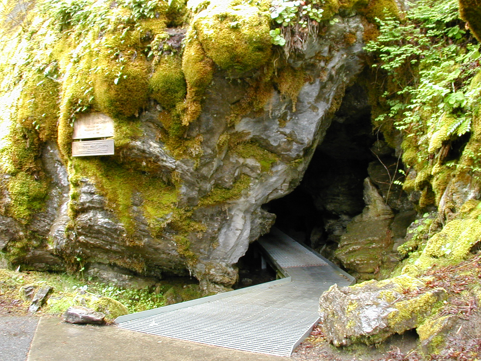 JessStryker.com: Oregon Caves National Monument, Oregon