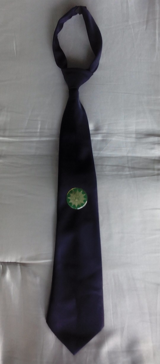 KWARDA HIZBUL WATHAN SURABAYA: SERAGAM DAN ATRIBUT HIZBUL WATHAN